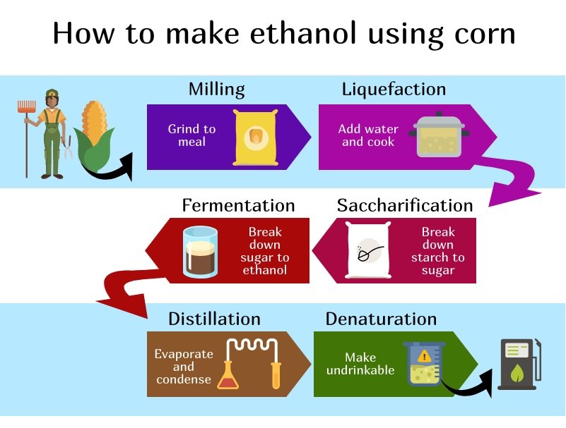 How to start an Ethanol Production Plant in India